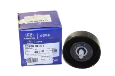 2006-2010 Hyundai Santa Fe Optima Rondo Magentis 2.7L GENUINE Idler ...