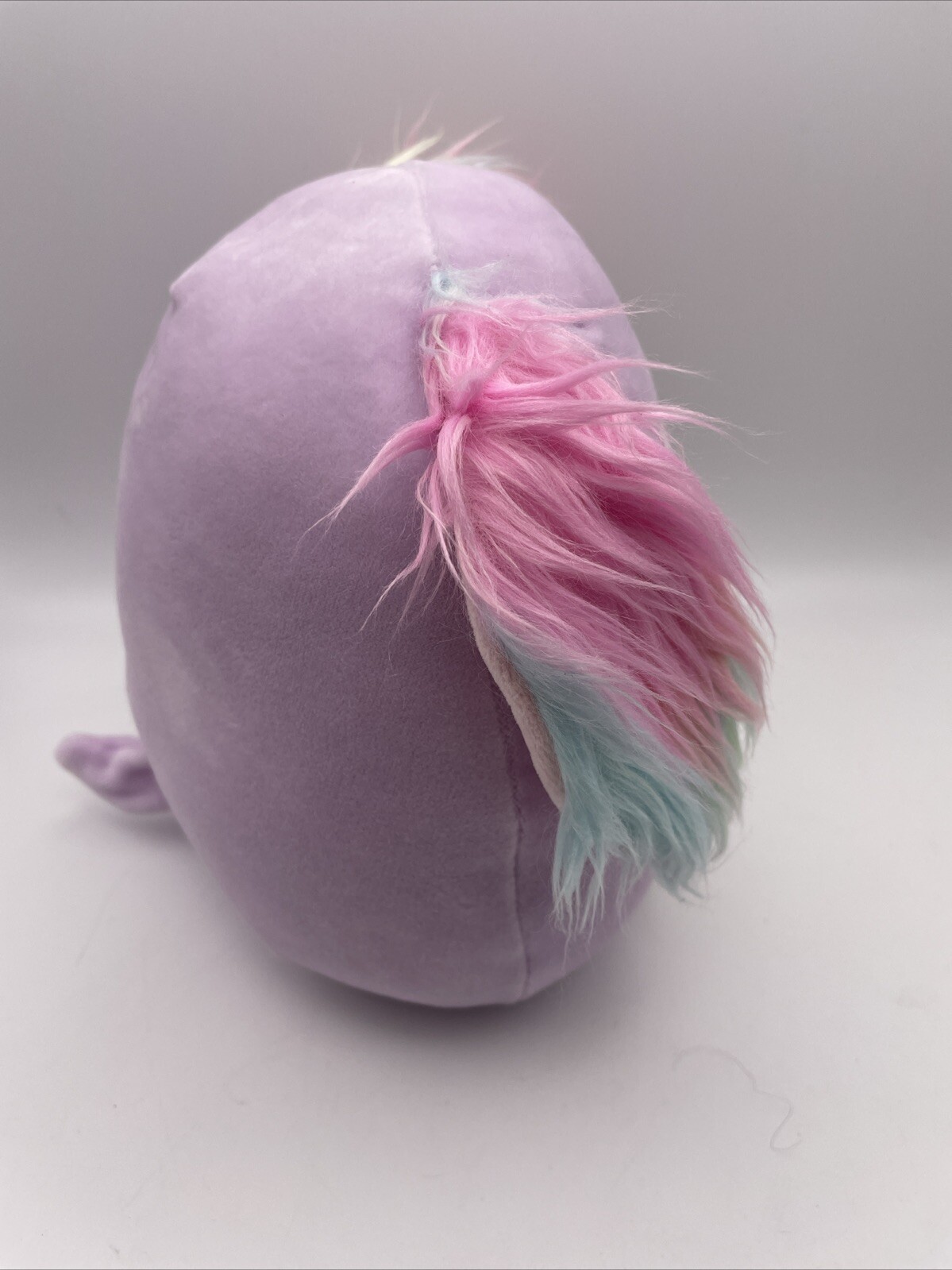 Barb The Dog squishmallow 8 Inch 2021 | eBay