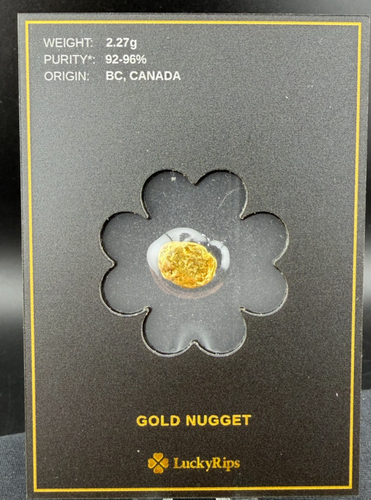 Lucky Rips Gold Nugget in Assay Card 2.27g BC Canadian Nugget | eBay
