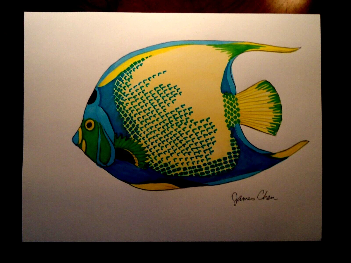Queen Angelfish Drawing