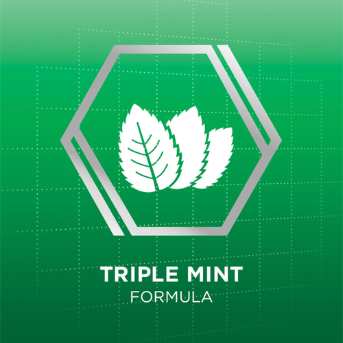 (2 Pack) Paste for Denture and Partials Cleaning, Triple Mint Freshness ...