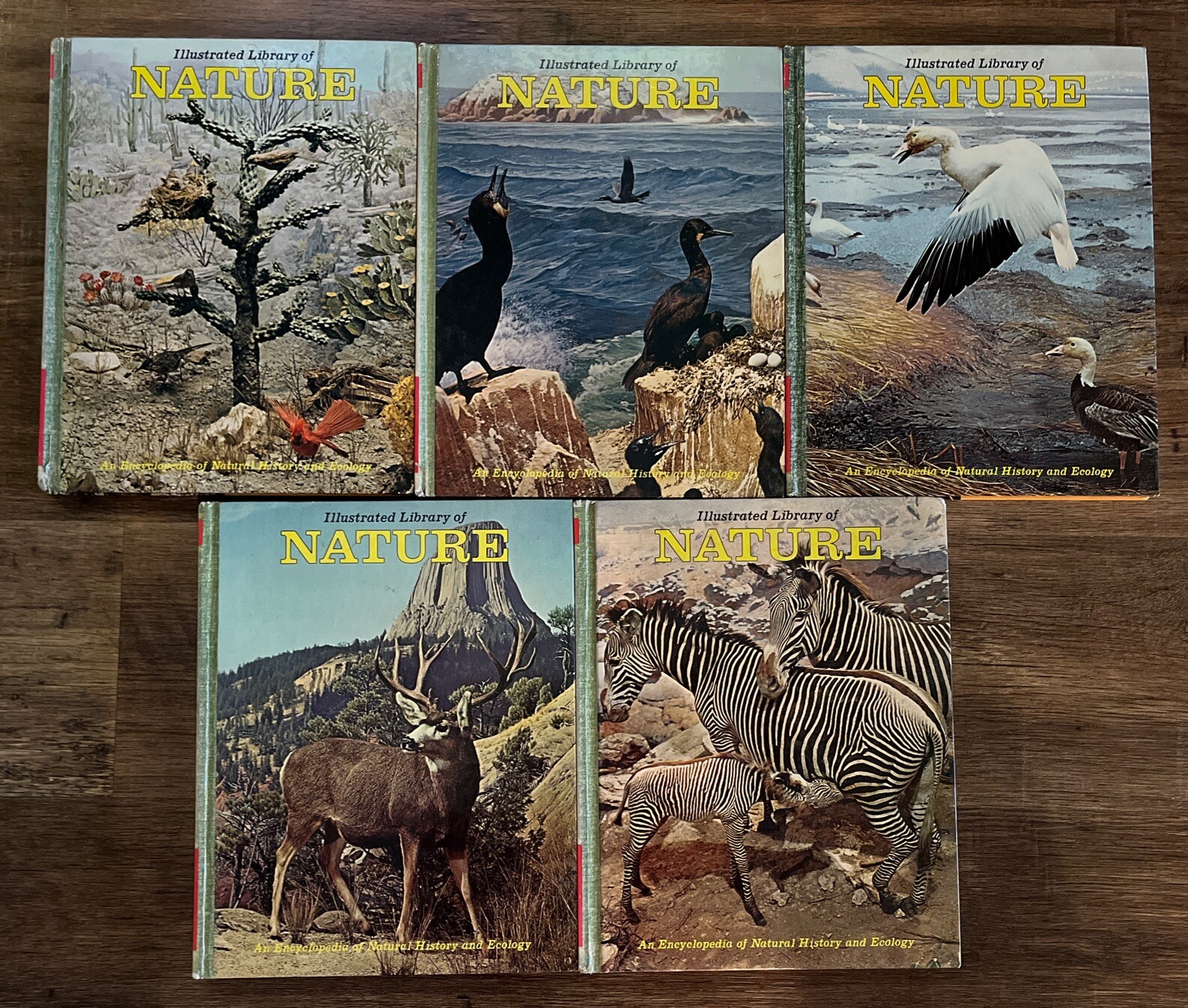 Illustrated Library Of Nature 1-5 Hardcover Natural History Ecology ...