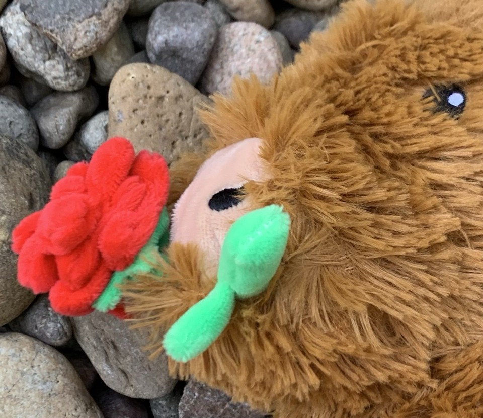 Giggle Scape Highland Cow Plush Toy Figure. New | eBay