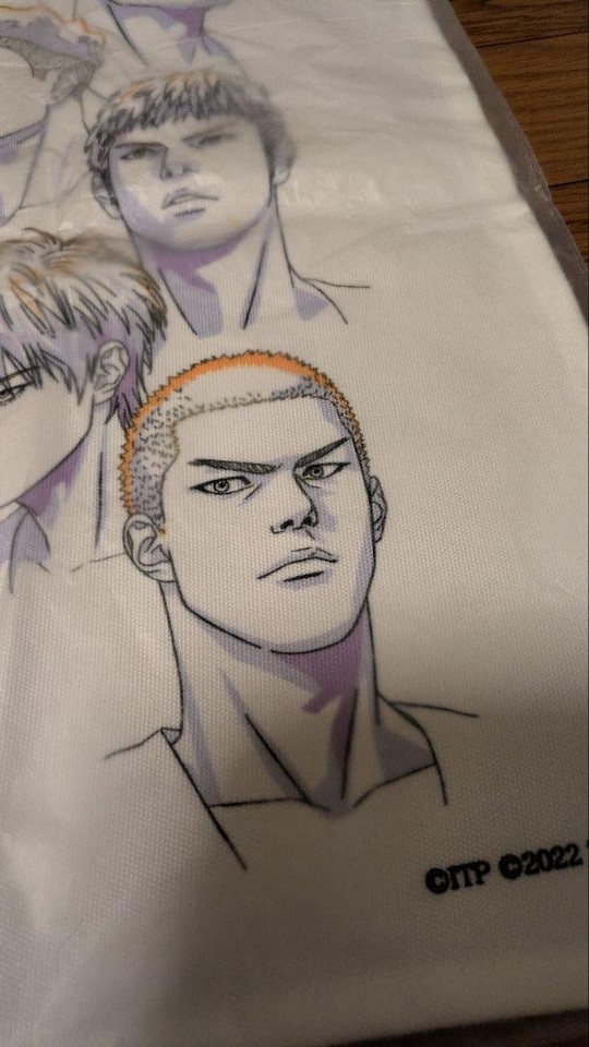 SLAM DUNK Fabric Poster - Slam Dunk Character Illustration Design ...