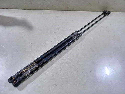 13428038 Shock Absorbers Trunk/Gate / 315005778/13428038/2561065 For | eBay