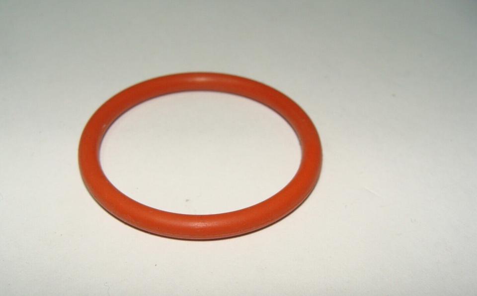 Thermo Scientific O-Ring P/N 062613 1 Piece per order | eBay