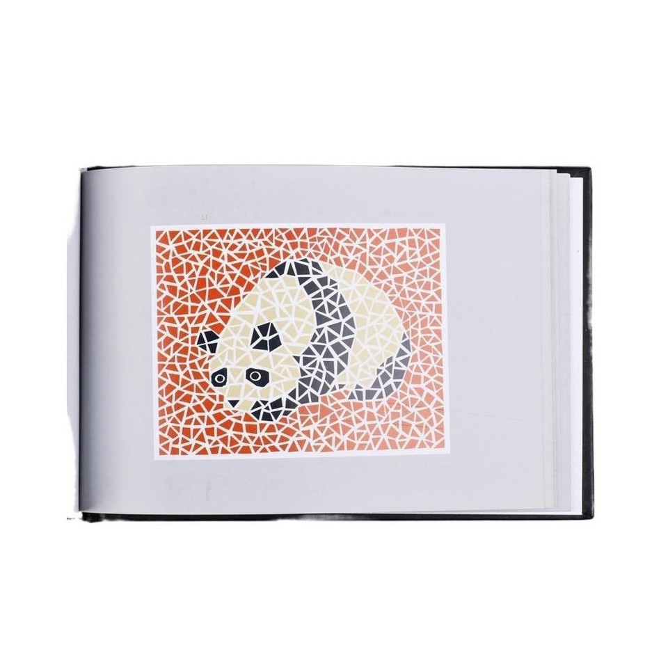 48 Image Color Vision Test Booklet for Detecting Red Green Color ...