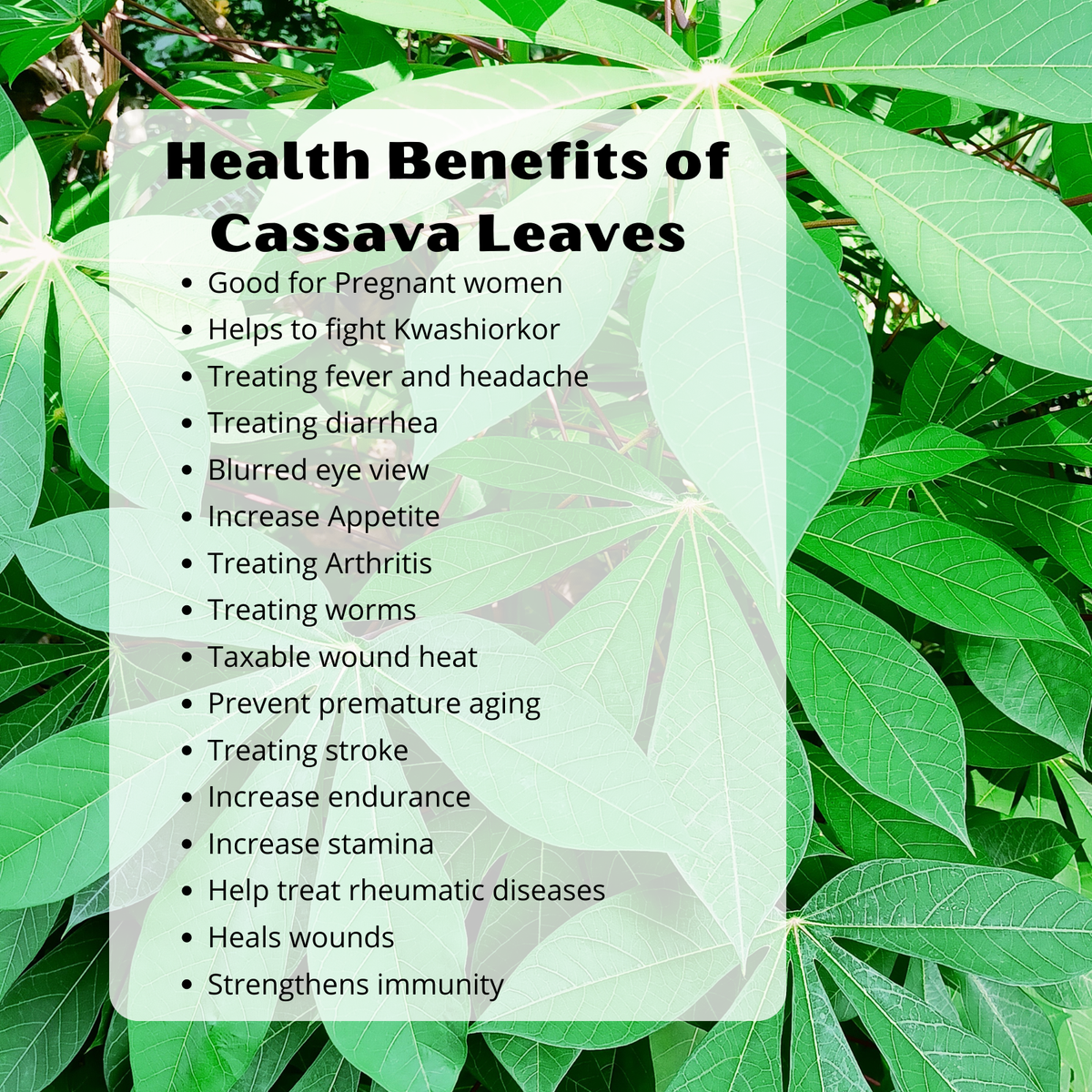 Cassava Leaves