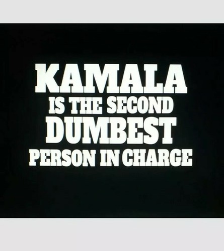 funny bumper stickers for cars trucks vinyl window decals offensive ...