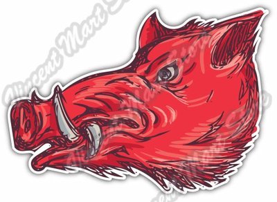 Wild Boar Red Hog Feral Pig Head Razorback Car Bumper Vinyl Sticker ...