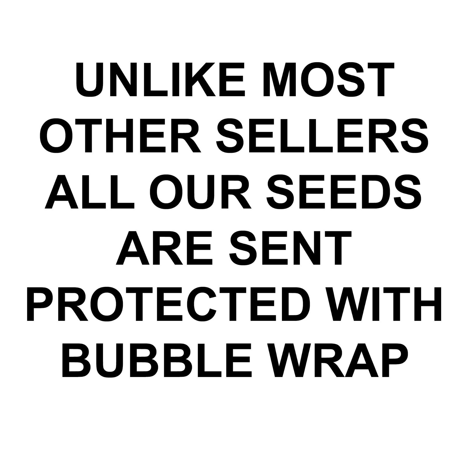 Erigeron Karvinskianus Seed RHS Mr Fothergill's 250 Flower Seeds UK ...