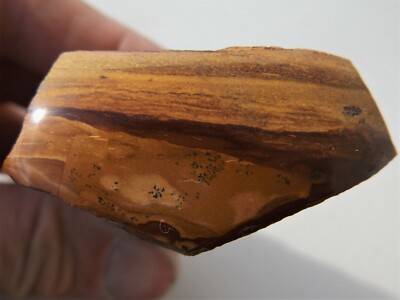 DIG-N-UTAH: POLISHED SALINA WONDERSTONE UTAH # J 85 | eBay