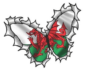 BUTTERFLY Ripped Torn Metal Design & Welsh Dragon Wales CYMRU Flag car ...