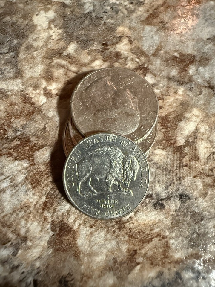 2005 P Mint Nickel Buffalo Five Cent Coin (Rare) Circulated | eBay