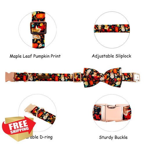 Bobo Rainbow Fall Dog Collar Large Leaf Pumpkin Print Bow | eBay