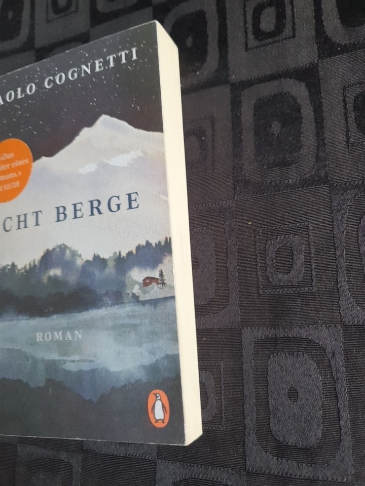 Acht Berge von Paolo Cognetti (2018, Taschenbuch) 9783328103448 | eBay.de