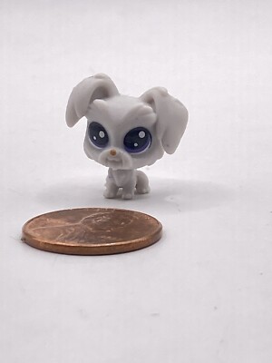 Littlest Pet Shop Lps 96 Malta Lively Teeny Tiny Teensie Dog Maltese | eBay