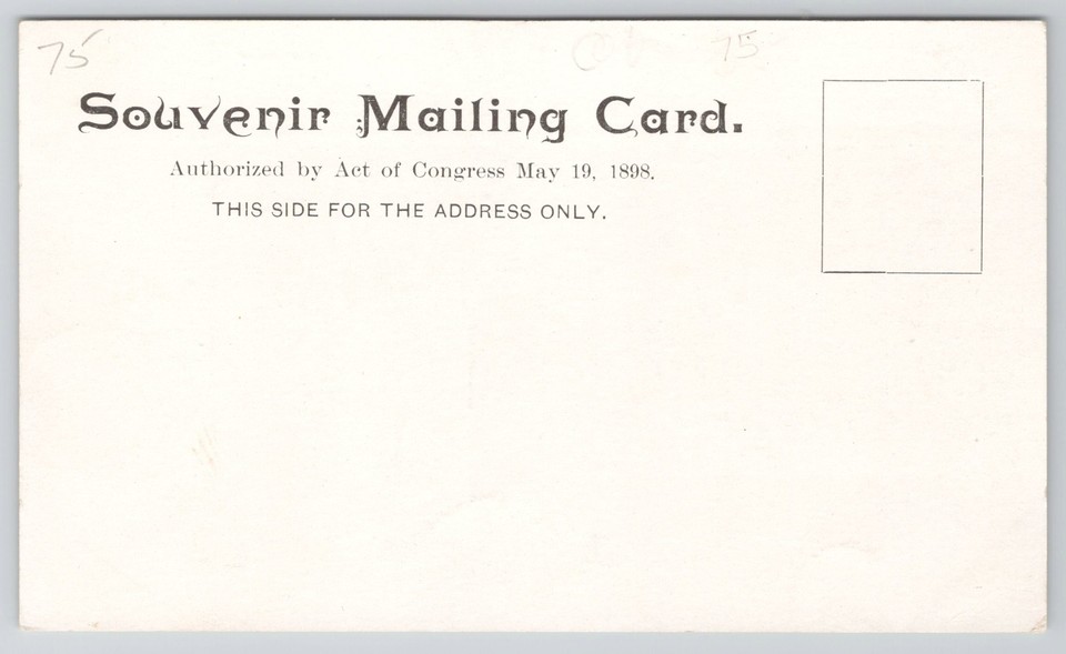 Postcard Oneonta State Normal School Oneonta New York PMC | eBay