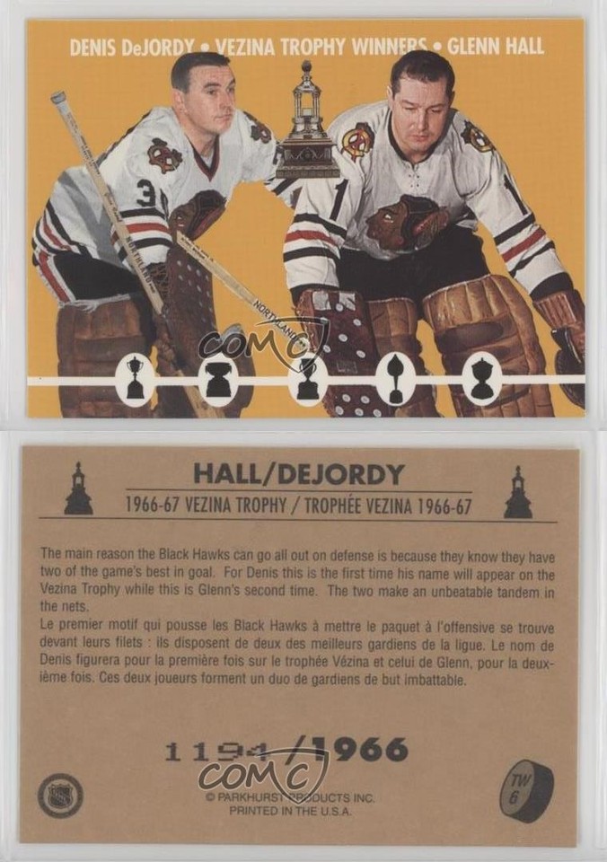 1995 1966-67 Design Trophy Winners /1966 Denis DeJordy Glenn Hall #TW6 ...