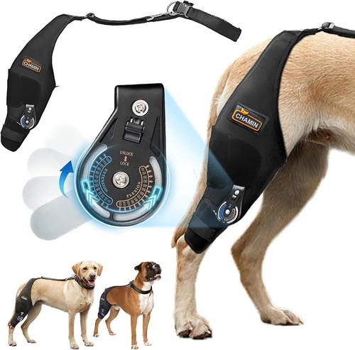 LARGE LEFT Adjustable Dog Knee Brace w Collar attachment, Support for ...