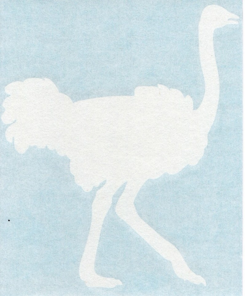 Ostrich Bird - Flightless Car Laptop Bumper Window Vinyl Decal Sticker ...
