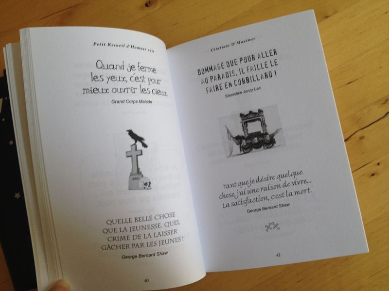 Petit recueil d'humour noir de Sébastien Lebrun | eBay