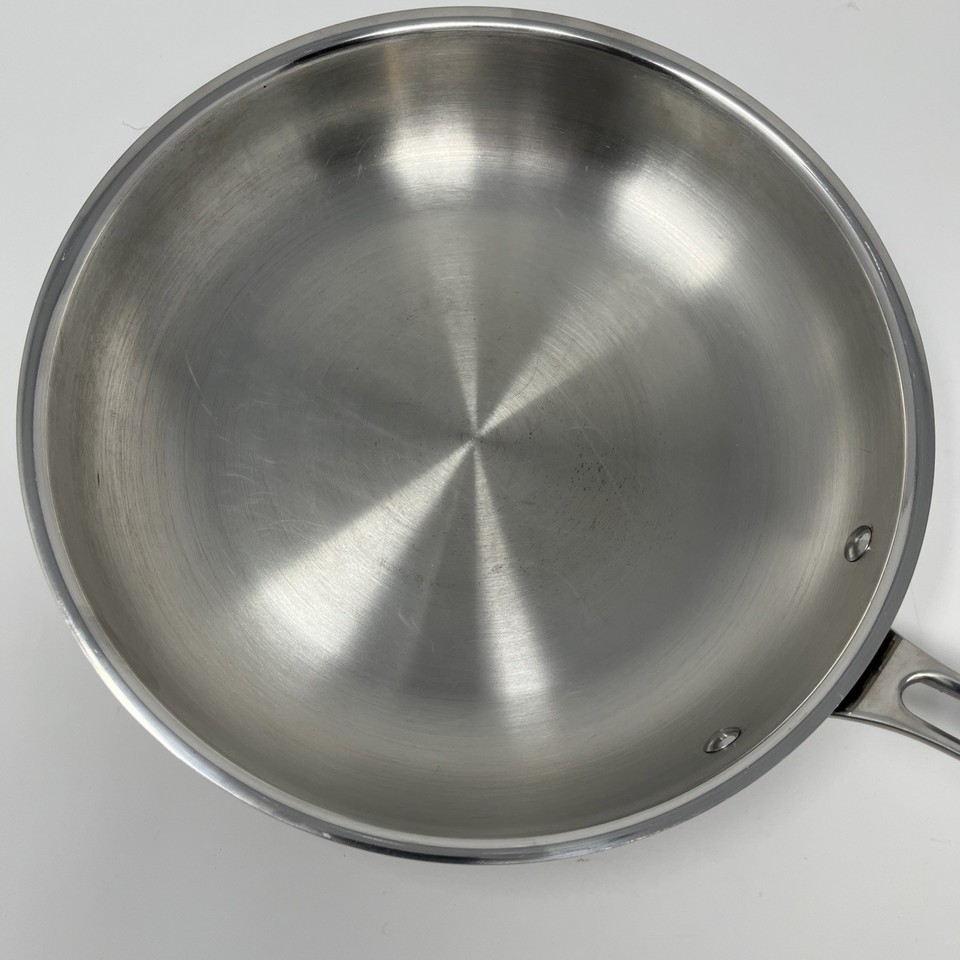Viking 10” Stainless Steel Round Frying Pan with Long Handle Used | eBay