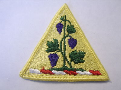 CONNECTICUT NATIONAL GUARD PATCH FULL COLOR | eBay