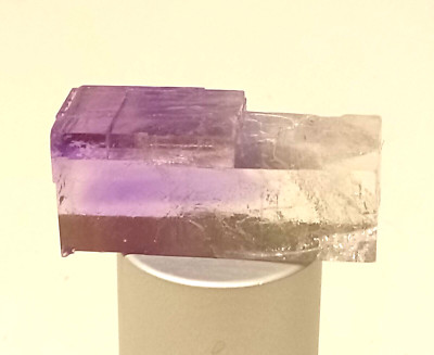 Lustrous Purple Halite Gem Crystal Clear/Transparent Rectangle Carlsbad ...