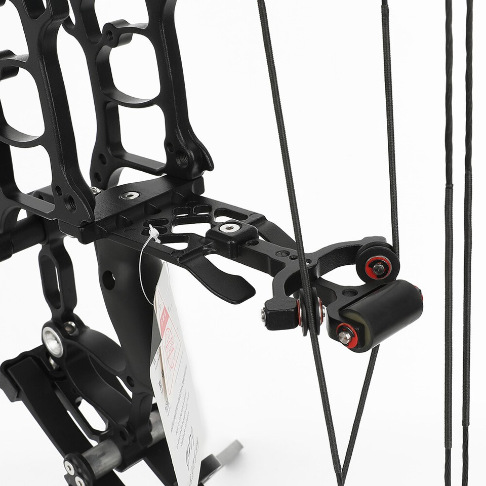 30-60lbs Compound Bow Kit Steel Ball Arrows Dual-use Archery Hunting ...