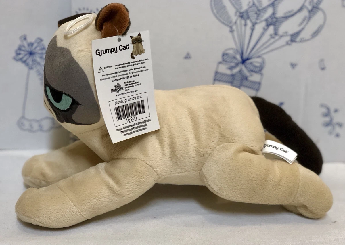 Grumpy Cat Lady And The Tramp