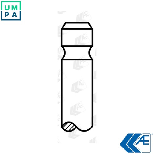 4x INTAKE VALVE V98032 FOR FAGZL3C1C1L3SEBAGZFA 2.3L CJBA/CJBB/LF17 ...