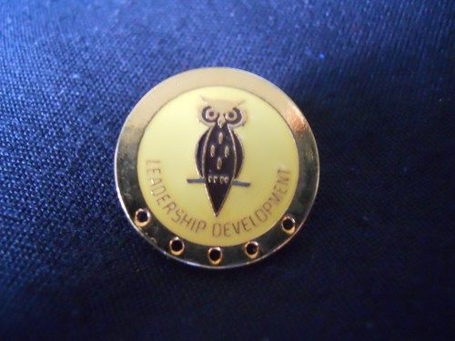 RARE Girl Scout GS USA LEADERSHIP DEVELOPMENT Owl Pin | eBay