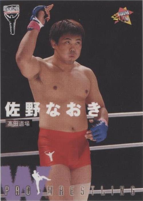 2000 BBM Pro-Wrestling - Naoki Sano #188 for sale online | eBay