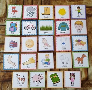 First Pictures & Words - Baby-Toddler- Language- Flash Cards- SEN | eBay