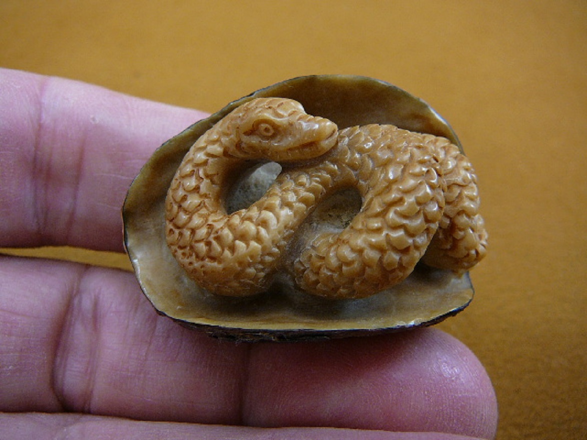 (tb-snake-1) little tan coiled Snake Tagua NUT palm figurine Bali ...