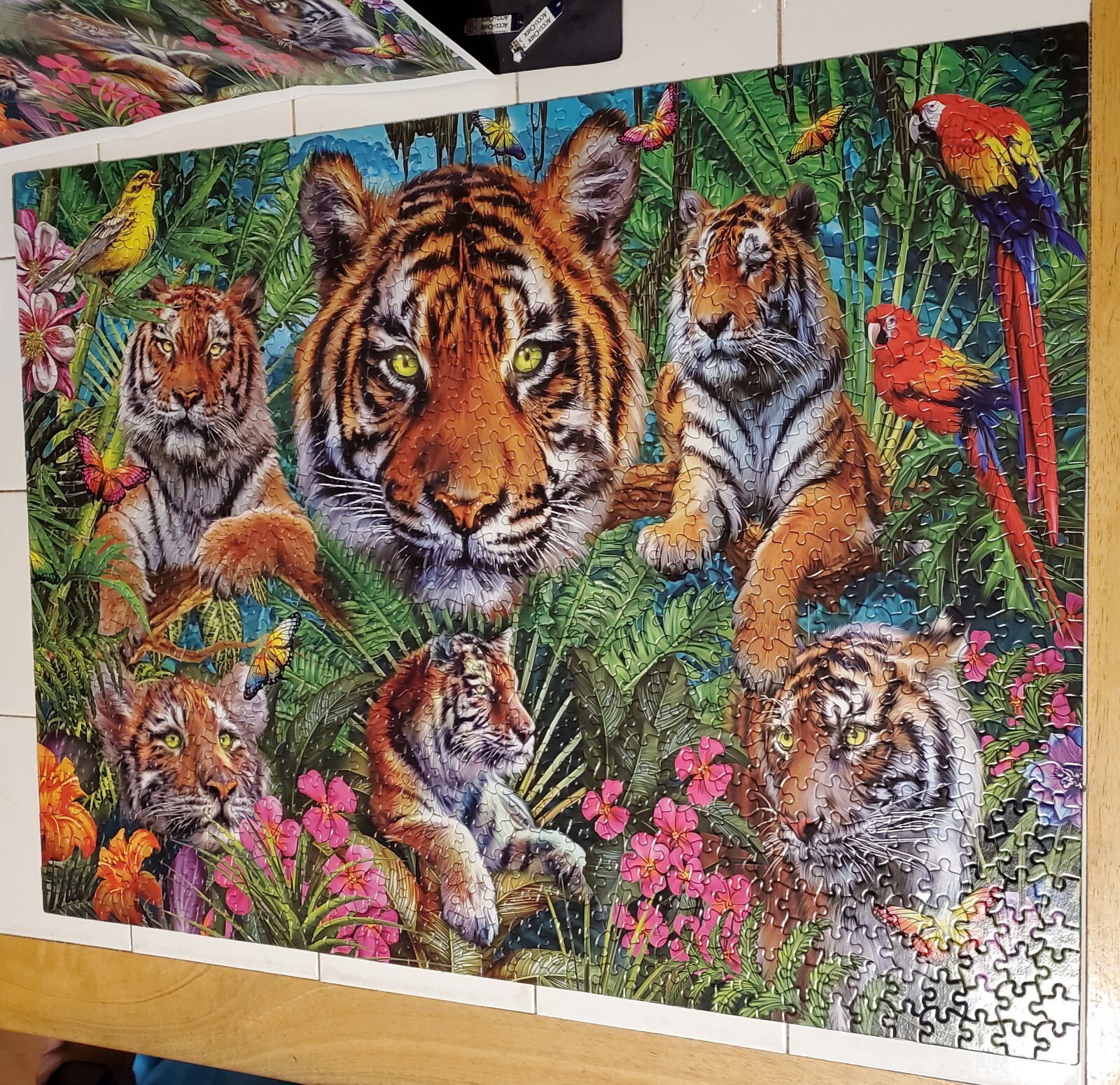 Ceaco 1000 Pc "Wild Sauvage - Salvaje" 26.6" x 19" Tigers Jigsaw Puzzle ...
