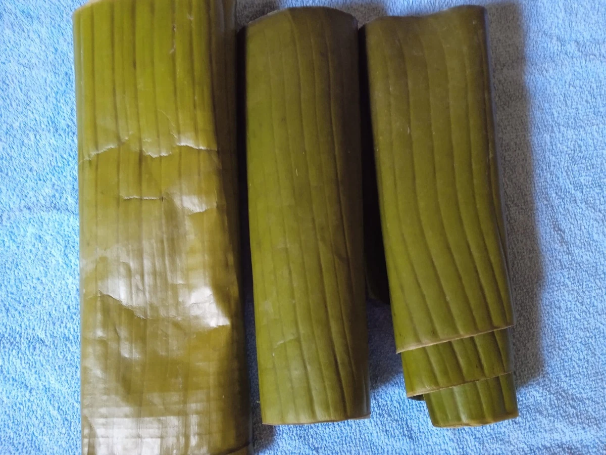 Banana Leaf Food Packaging