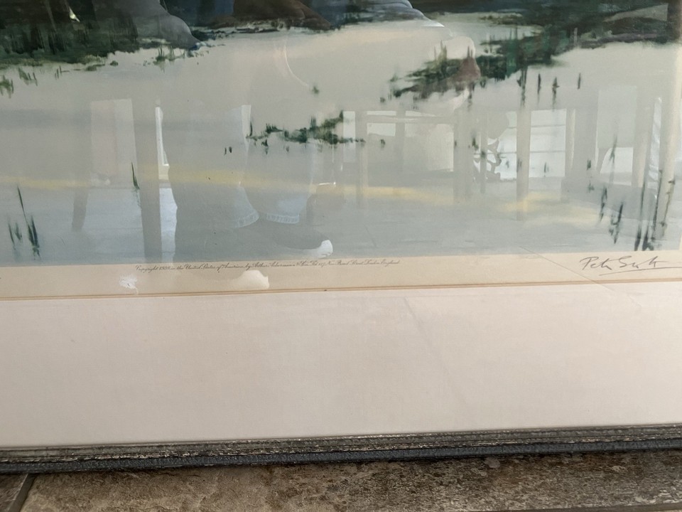 Peter Scott Framed Signed Print - Pintails Dropping In With A Rush ...