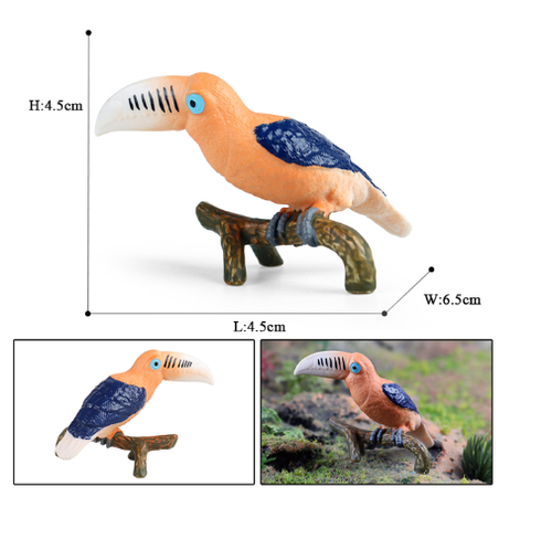 6.5cm Mini Toucan Bird PVC Toy Wild Animal Figure Doll Kids Gift | eBay