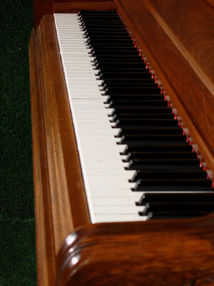 Nickelodeon music box jukebox player piano | eBay