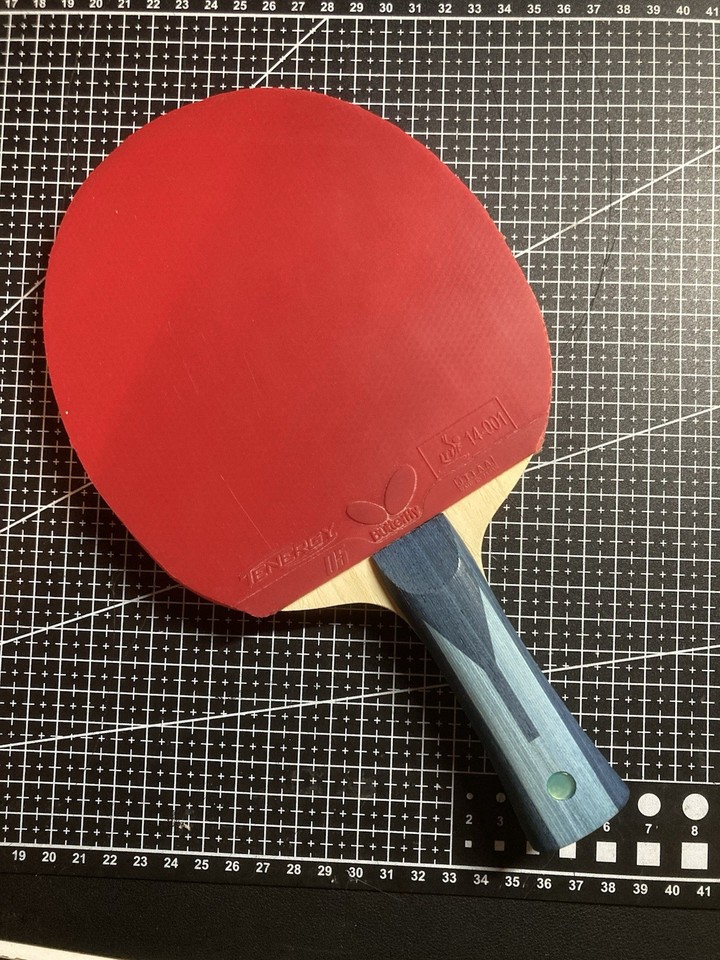 Butterfly Timo Boll ALC FL with D09c T05 Table Tennis Racket | eBay UK