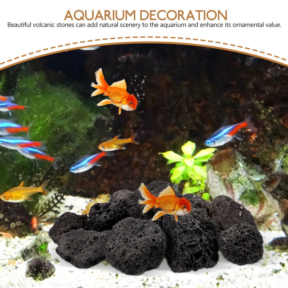 Fish Tank Decor Volcanic Stone Landscaping Black Aquarium Pumice for | eBay