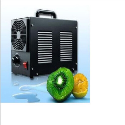 High Efficiency Ceramic Portable Ozone Generator 2g/h hlxe | eBay Australia