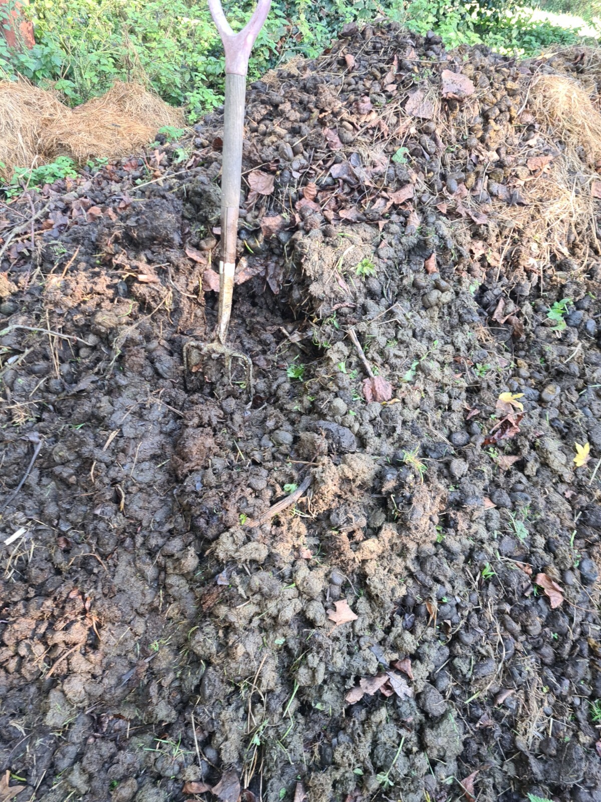 WELL ROTTED PONY MANURE ~ GREAT MULCH ~ SOIL IMPROVER MANY USES ...