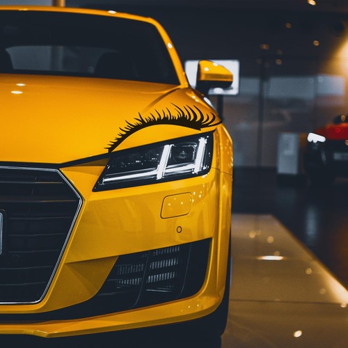 2 Pairs Car Headlight Eyelashes Stickers,Car Lashes for Headlights ...