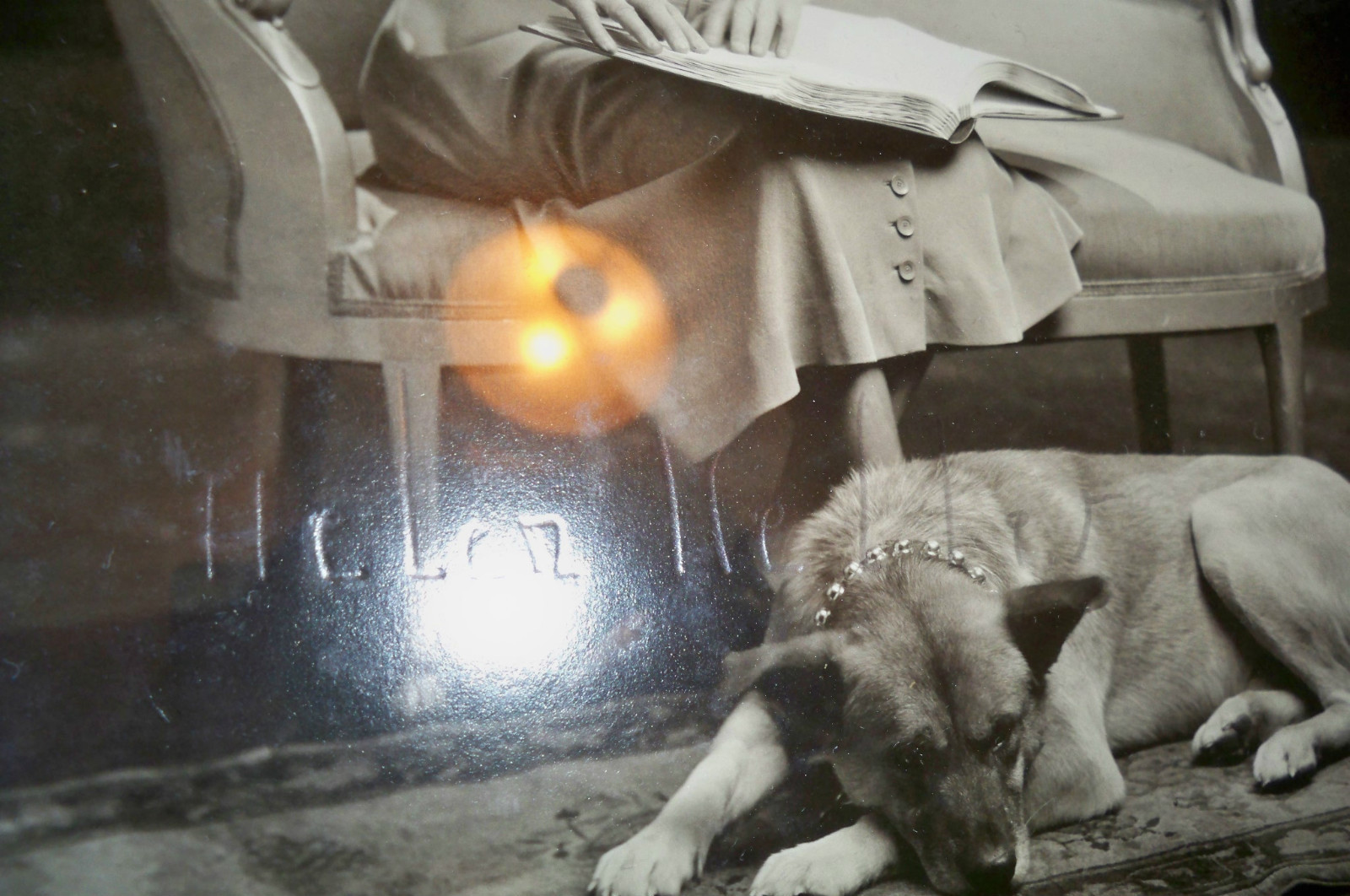 Helen Keller & Dog Signed Autograph Photo w/Original Mailing Envelope ...