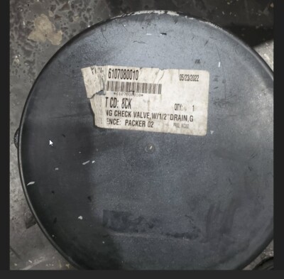 RELIABLE MODEL G SWING CHECK VALVE 8" 17.2 BAR 250 PSI 2022 6107080010 ...