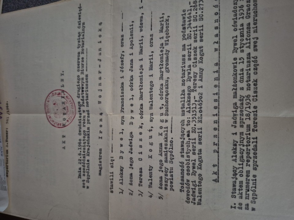 Polish Paperwork | eBay