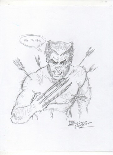 Wolverine Logan ORIGINAL PENCIL SKETCH by Tim Shinn | eBay